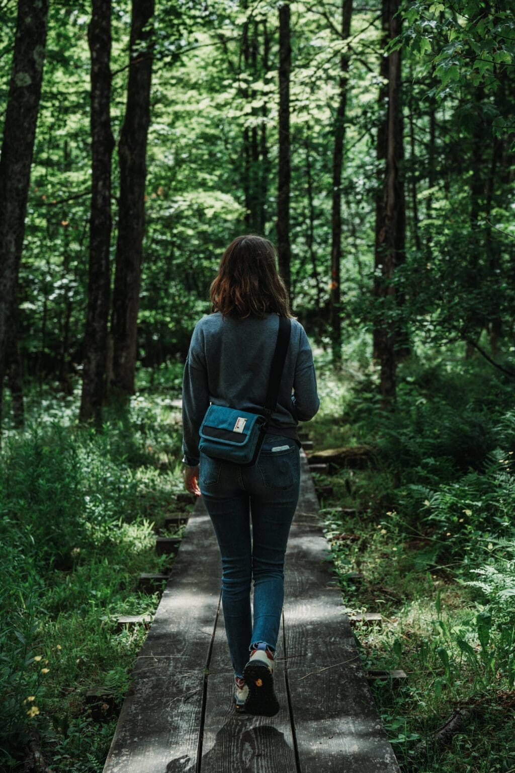 UIWG Hike Conestee Nature Preserve | Upstate International